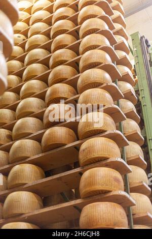 Parmesan Rarmigiano Reggiano italian cheese manufacturing at dairy farm ...