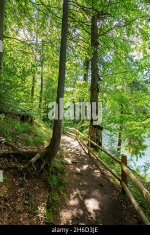 Wonderful path in the beautiful landscape Stock Photo - Alamy