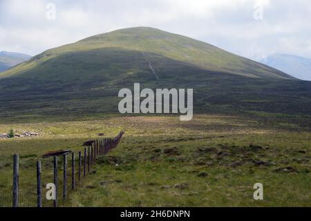 The Wainwright 'Starling Dodd' from the Wire Fence near the Summit of ...
