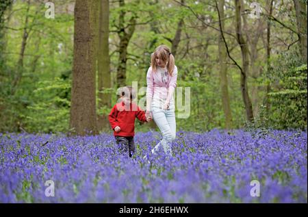 Finn and Jessie enjoy a walk through the bluebells in Wanstead Park ...