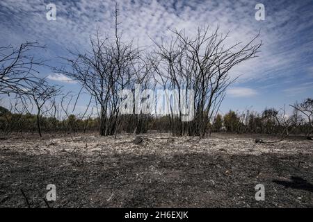 The aftermath of a fire in Wanstead Flats, north-east London. The ...