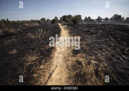 The aftermath of a fire in Wanstead Flats, north-east London. The ...