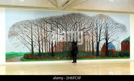 Artist David Hockney attends a photocall as he donates his painting ...