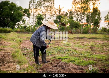 Beautiful shot of a female digging a hole in the ground with a shovel ...