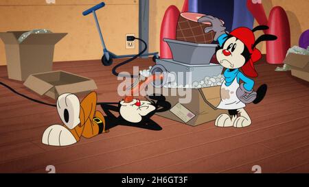 ANIMANIACS, from left: Yakko (voice: Rob Paulsen), Wakko (voice: Jess ...