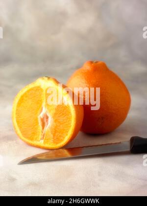 Super juicy Tangelo (Mineola Fruit) food still-life representation ...