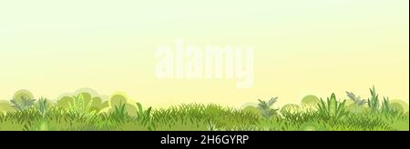 Meadow. Summer herbal glade. Grass close up. Flowers. Rural beautiful ...