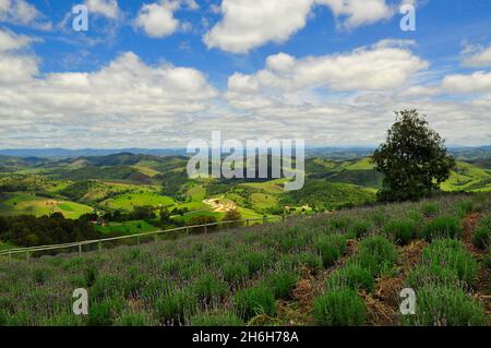 Rolling hills at Cunha a hill station at São Paulo estate, Brazil Stock ...