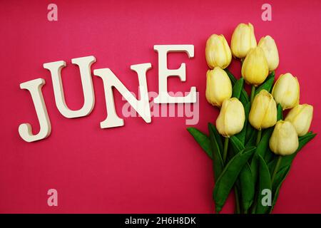June alphabet letter and tulip flower with space copy on purple ...
