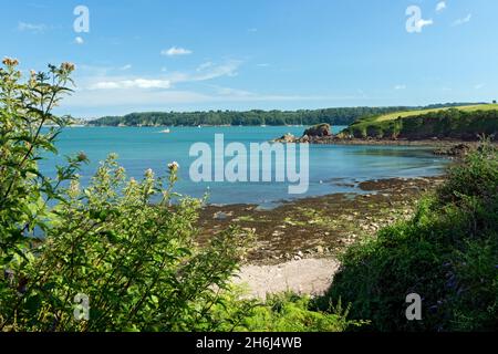 Saltern Beach near Paignton, South Devon Stock Photo - Alamy