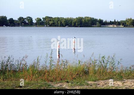 Lake surrounded by trees and houses, Waverly, Minnesota, USA Stock ...