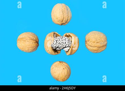 Walnuts with a miniature steel copy of a human brain in a nutshell on a ...