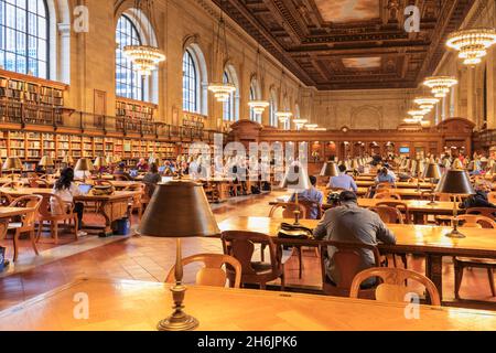 New York Public Library, Fifth Avenue, Manhattan, New York City, United ...