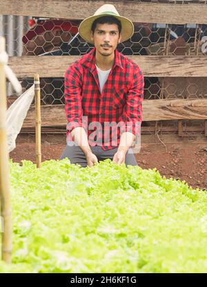 Handsome farmer at a lettuce plantation field. Agriculture concept ...