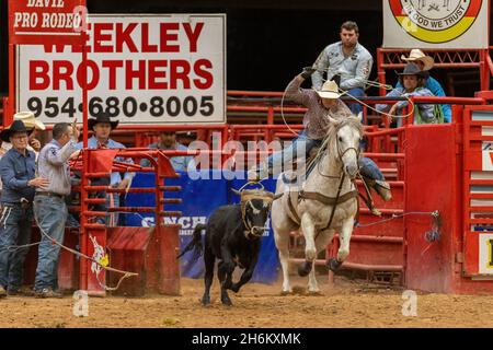 Team Roping seen on Southeastern Circuit Finals Rodeo during the event ...