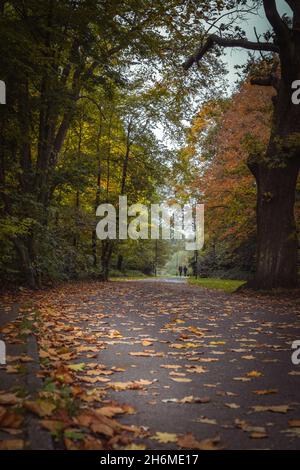 Southampton Common Park during autumn, Southampton, Hampshire, England ...