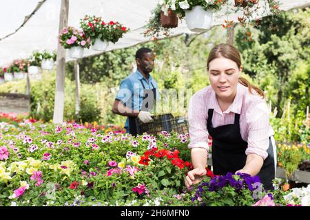 skilled florists working with flowers Stock Photo - Alamy