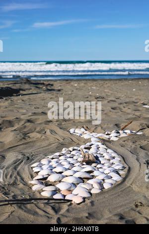 Fish shape made of shells on beach Stock Photo - Alamy