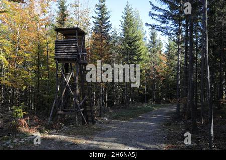 Hiking around Semmering Stock Photo - Alamy