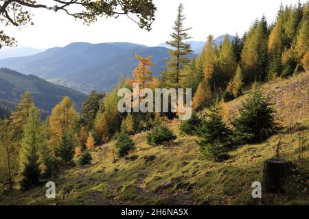 Hiking around Semmering Stock Photo - Alamy