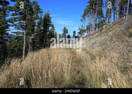 Hiking around Semmering Stock Photo - Alamy