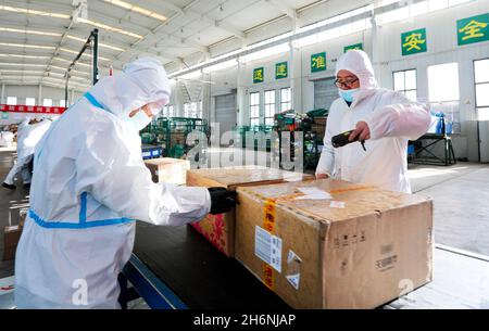 The Shunfeng Express workers are sorting parcels in the warehouse ...