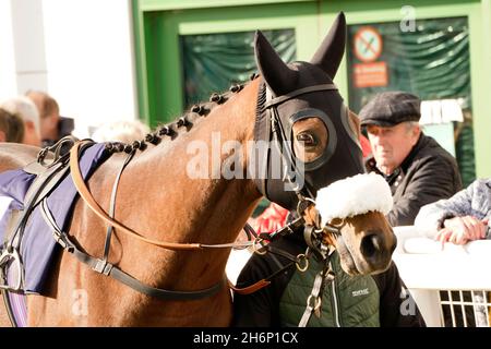 atmosphere and thrill of a day at the races with the crowd and the ...