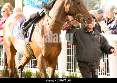 atmosphere and thrill of a day at the races with the crowd and the ...