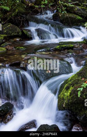 Rushing stream in the woods above Llyn Padarn, Llanberis, Snowdonia ...