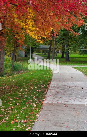 College Campus walkway and fall trees Stock Photo - Alamy