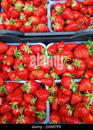 Strawberries in a box on the counter Stock Photo - Alamy