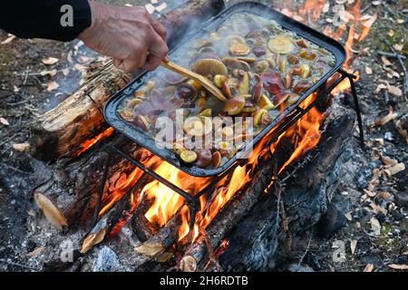 Baking tray with mushrooms on the fire. Cooking mushrooms while ...