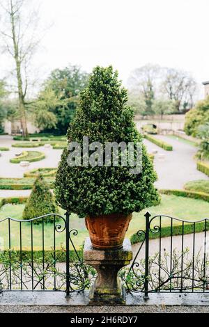 antique pot and lake como scenery - Italy Stock Photo - Alamy