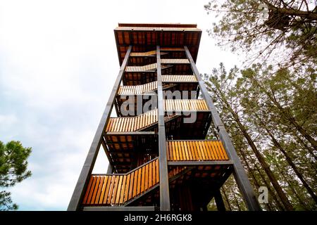 Birdwatching Tower. Bird watching observation tower in the forest ...