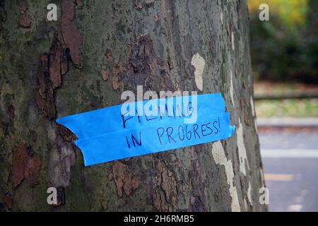 Filming in progress sign on a tree at the park with a blue tape Stock ...