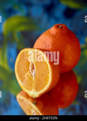Super juicy Mineola (Grapefruit / Tangerine} natural fruit still-life ...
