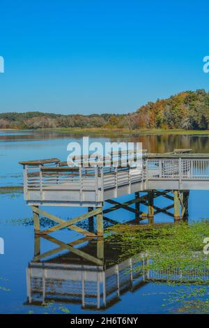 The fishing pier on Reed Bingham Lake in Reed Bingham State Park, Adel ...