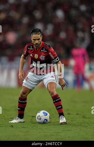RJ - Rio de Janeiro - 11/17/2021 - BRAZILIAN TO 2021, FLAMENGO X ...