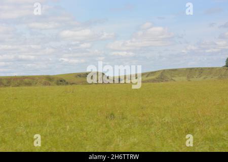 Savannah , Pongara National Park Gabon, Central Africa Stock Photo - Alamy