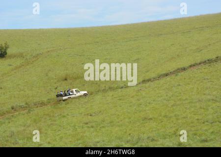 Savannah, Pongara National Park Gabon, Central Africa Stock Photo - Alamy