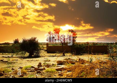 Poor farm. Madhya Pradesh, central India Stock Photo - Alamy