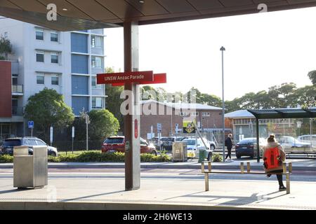 UNSW Anzac Parade light rail stop Stock Photo - Alamy