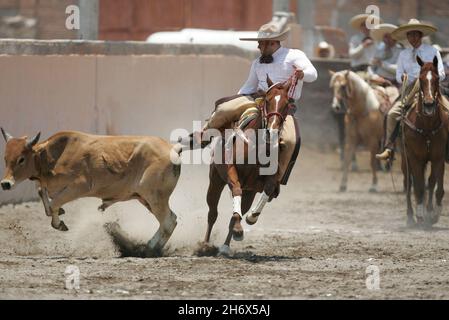 Charreria, Mexico's national sport, in Texcoco, on the outskirts of ...