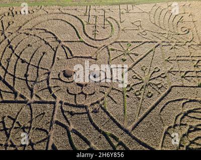 Aerial photograph of Treinen Farm's Schršdinger Cat Corn Maze on a ...