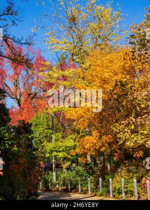 Beautiful fall color of the Gathering Place at Tulsa, Oklahoma Stock ...