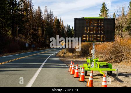 Markleeville Ca, United States. 16th Nov, 2021. View of burned trees ...