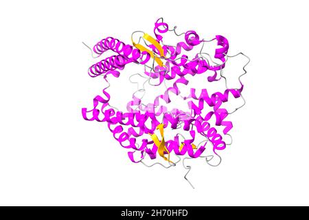 Structure of the human Angiotensin Converting Enzyme-Related ...