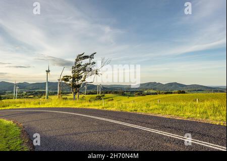 Bitumen road leading up to the Windy Hill wind farm at Ravenshoe ...