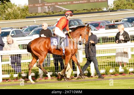Documenting the atmosphere and thrill of a day at the races with the ...