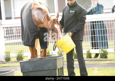 Documenting the atmosphere and thrill of a day at the races with the ...
